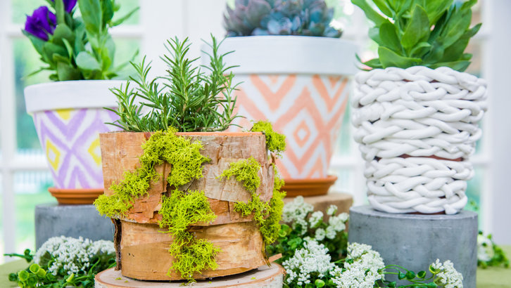 DIY Flower Pots Three Ways - From Scratch with Maria Provenzano
