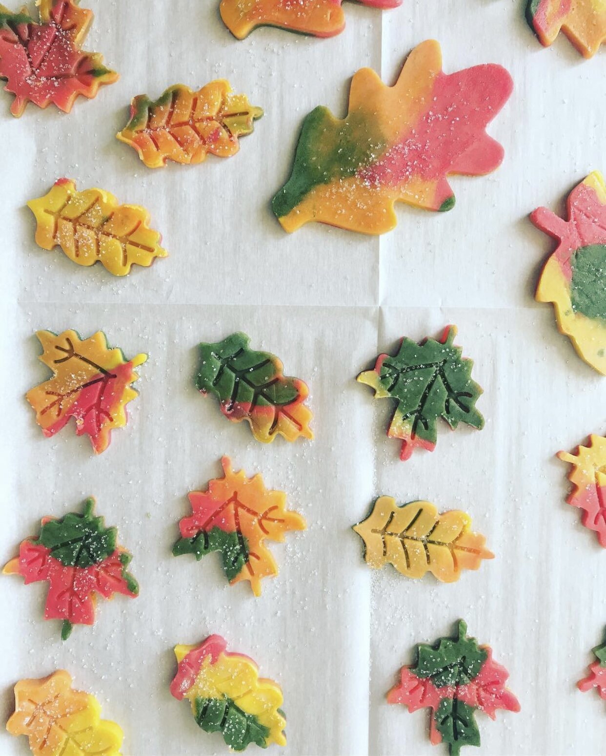 Leaf Sugar Cookies - From Scratch with Maria Provenzano