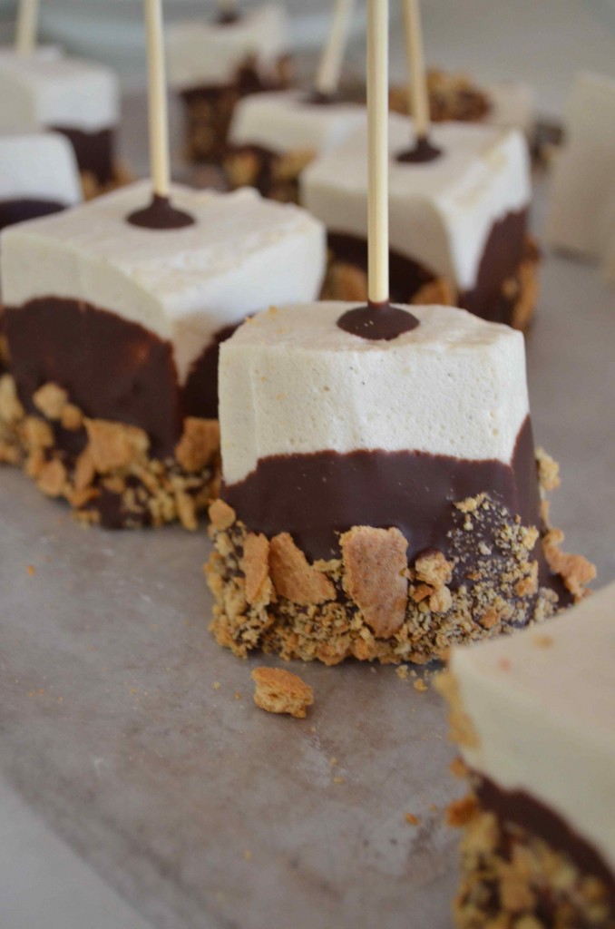 S'mores On A Stick - From Scratch with Maria Provenzano